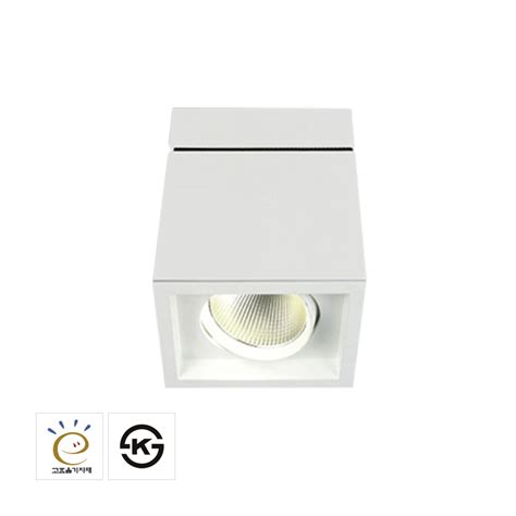 LED 15W : 라이트팹