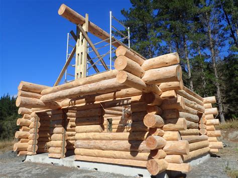 New Douglas Fir Log Cabin On The Clarence River Ptl Structural And Fire