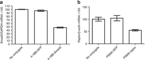 Aptamer Dependent Small Interfering Rna Sirna Inhibition Using