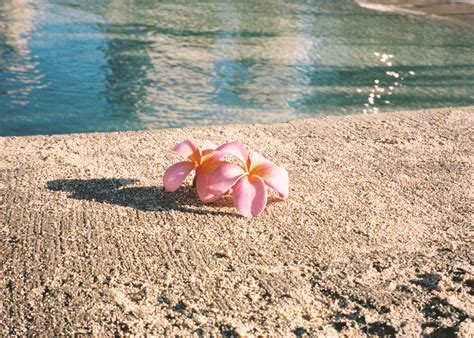 Gallery Grace Marr Collection