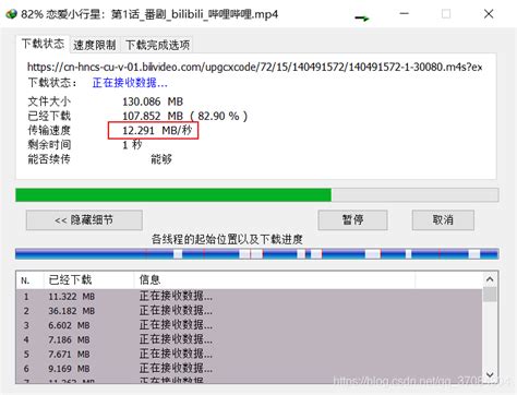 程序员必备下载器——idm，下载速度超快！idm时长 Csdn博客