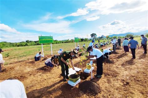 လင်းခေးတွင် မိုးရာသီသစ်ပင်စိုက်ပွဲတော် ကျင်းပ Information And Public Relations Department