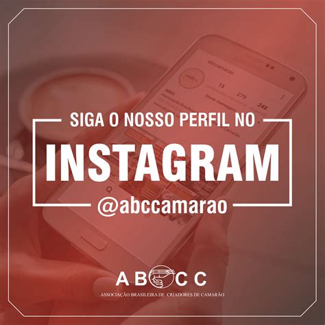 Siga O Nosso Perfil No Instagram Abccam Associação Brasileira De
