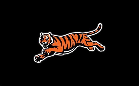 Cincinnati Bengals Wallpapers Wallpaper Cave