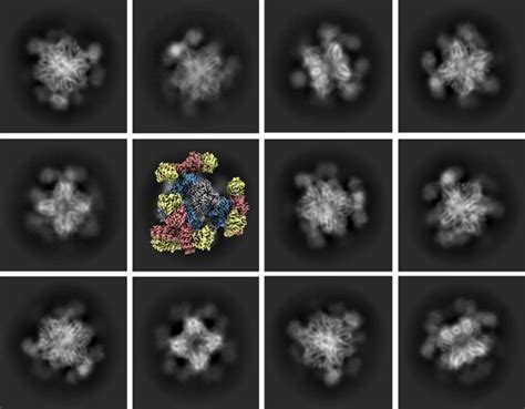 Cryo Em Uclas Groundbreaking Advance In Nobel Prize Winning Imaging Tech