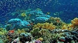 Pemekaran Wilayah Provinsi Sulawesi Tenggara Kabupaten Wakatobi