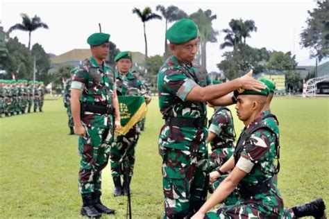 Gaji Perwira Tinggi TNI Mengalami Perombakan Di Tahun 2024 Cek Nominal