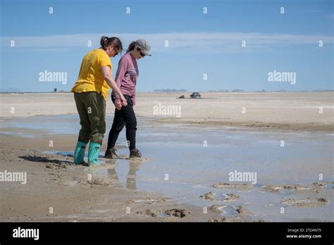 Osiris Rex Sample Return Training Recovery Teams Participate In Field Rehearsals In Preparation