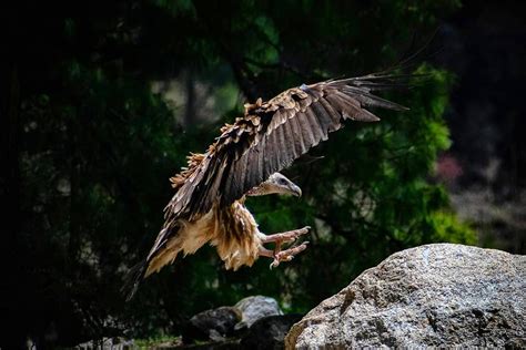 Rupam Sarkar Insearchpk