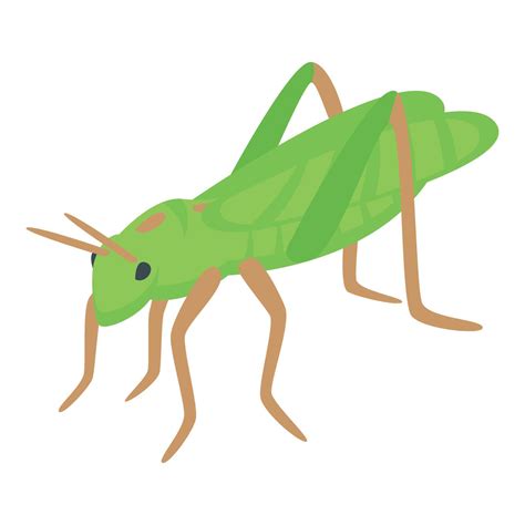 Small Grasshopper Icon Isometric Vector Verdant Creature 40270562