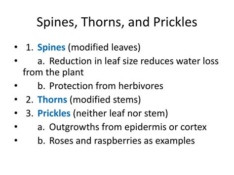 Ppt Leaves Powerpoint Presentation Free Download Id 2255003