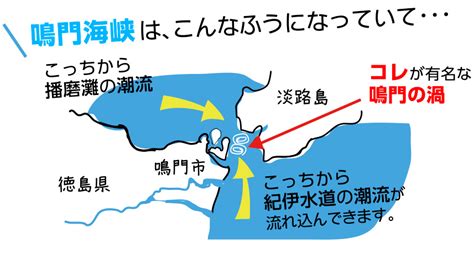 鳴門わかめをお取り寄せ里浦産鳴門わかめのショッピングサイトです