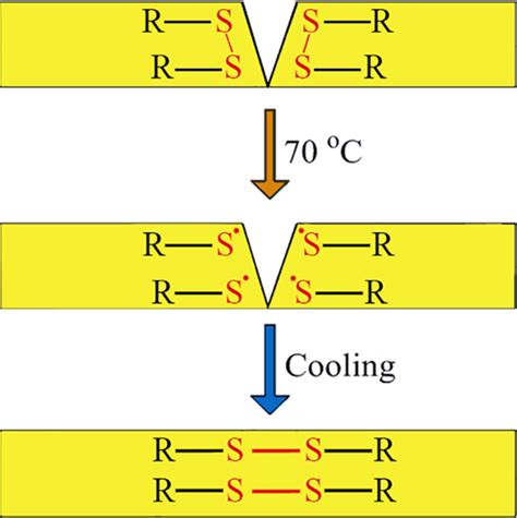Thermal Induced Intrinsic Self‐healing In Epoxy Based Elastomer Coatings Provided By Disulfide