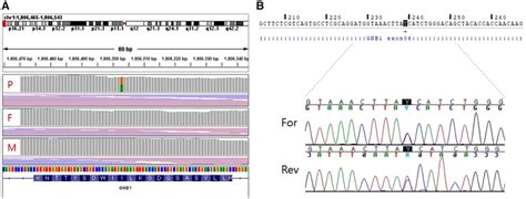 Whole Genome Sequencing A And Sanger Sequencing B Validation Of The