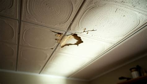 Asbestos Ceiling Tiles Identification Does This Look Like Asbestos