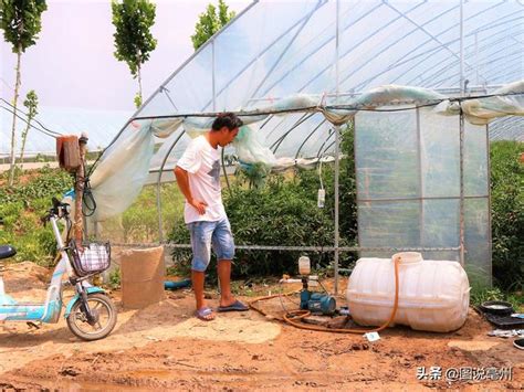 農民種植一種辣椒，3畝淨賺60000元，值得借鑑嗎？ 每日頭條