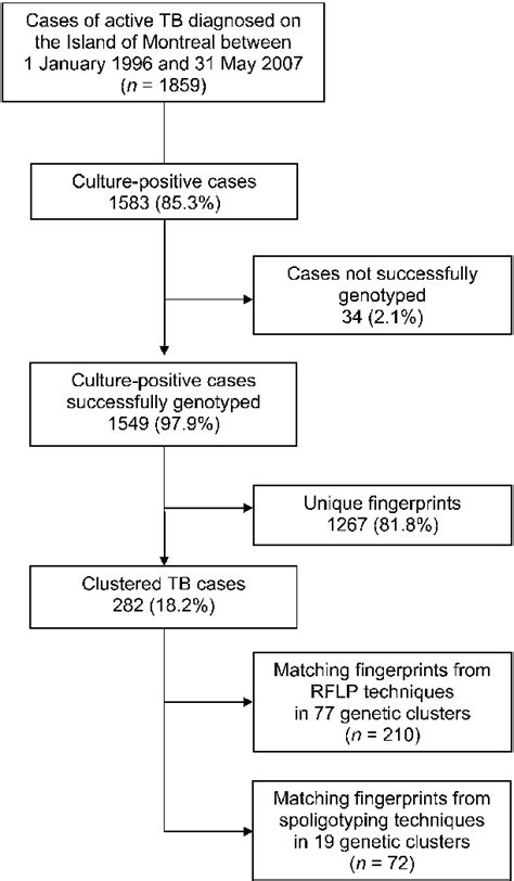 Flow Chart For TB Cases In Montreal Canada TB Download Scientific Diagram