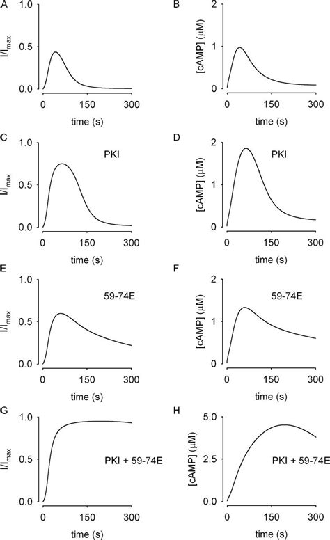mathematical simulations of the system described by the schematic in