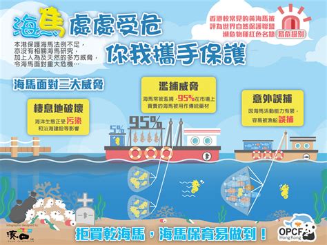 Hong Kong Seahorse Survey And Conservation Infographics Our Work