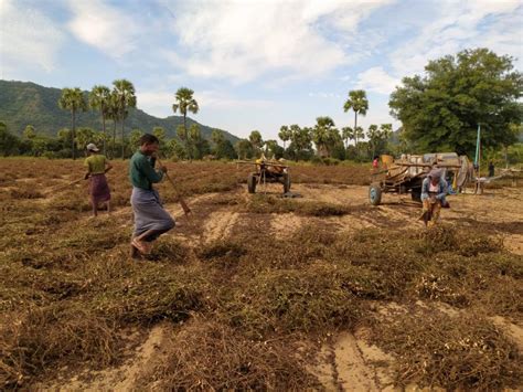 အောင်လံမြို့နယ်သို့ မကွေးတိုင်းဒေသကြီးအစိုးရအဖွဲ့ စီးပွားရေးရာဝန်က