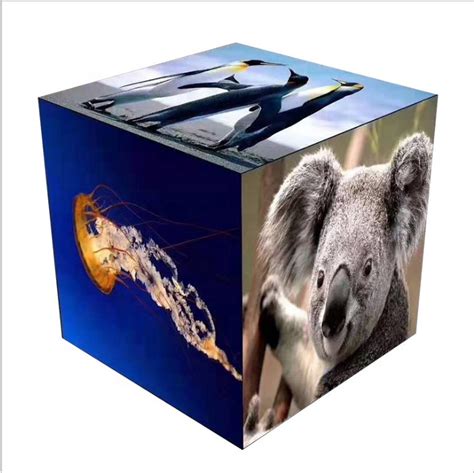 Understanding The Refresh Rate Hz Of LED Displays Bescan Led