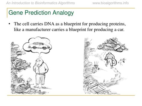 Ppt Gene Prediction Similarity Based Approaches Powerpoint