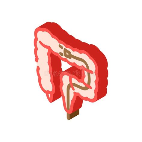 Colonoscopy Examination Isometric Icon Vector Illustration Stock