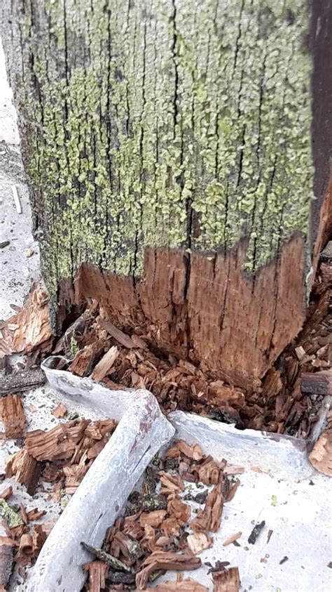 Salisbury Crematorium Repair Care Stronger Together