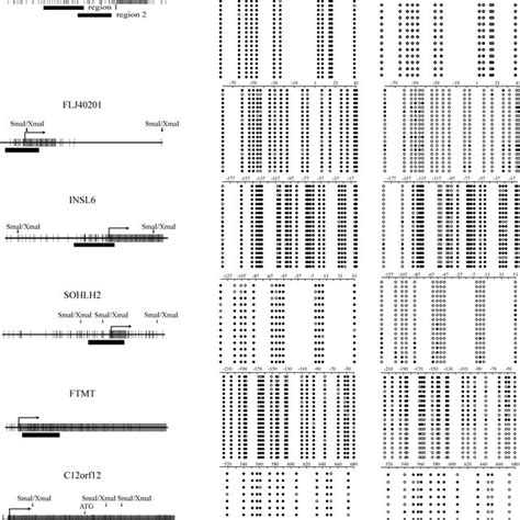 Bisulfite Sequencing Of Seven Cgi Promoters In Pbl And K562 For Each