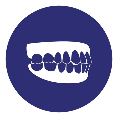 Clinical Occlusion Bundle