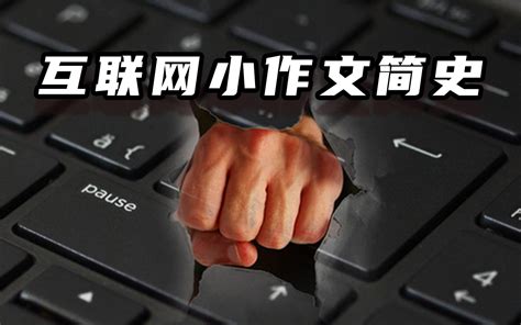 互 联 网 小 作 文 简 史 毒舌的南瓜 毒舌的南瓜 哔哩哔哩视频