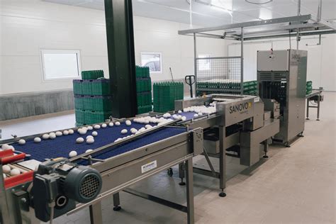 Farmpacker 40 Compact Egg Packer Machine For Small Farms Sanovo