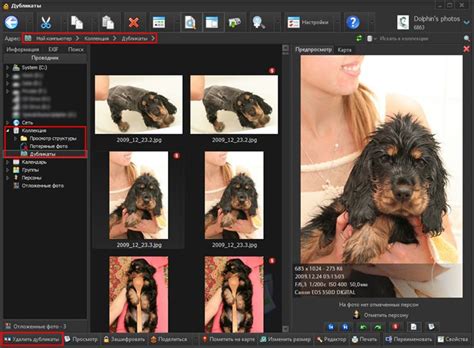 Photo Database Поиск и удаление дубликатов фото Организация и шифрование фотографий