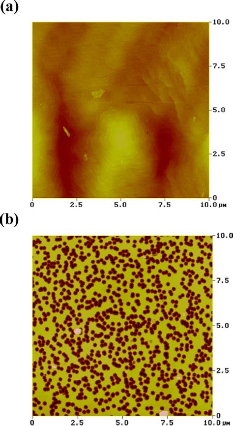 AFM Images Of P Type GaN Surface Grown At A 1050 C And B 800 C RMS