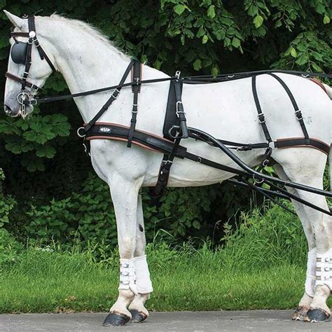 Zilco Webz Driving Harness Single Cob Pony
