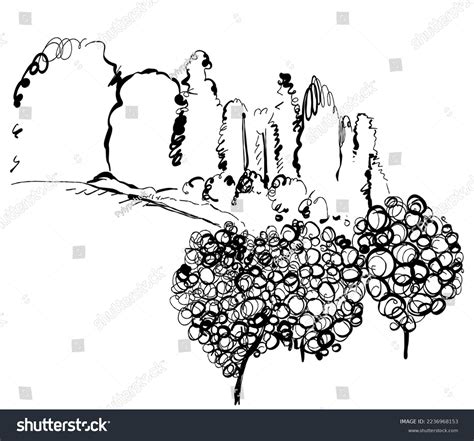 Sketch Trees On White Background Bush Stock Vector Royalty Free Shutterstock