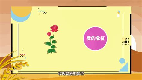 玫瑰花语每朵代表什么 玫瑰花语每朵代表什么意思 天奇生活