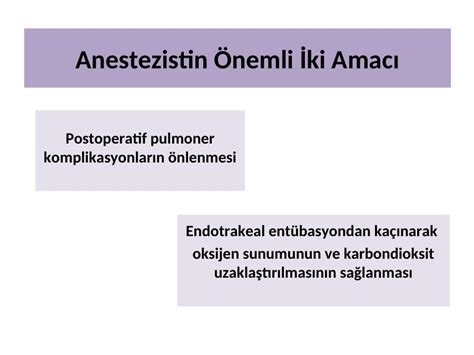 Akademik Sunum