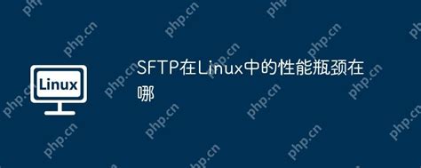 Sftp在linux中的性能瓶颈在哪 叮当号