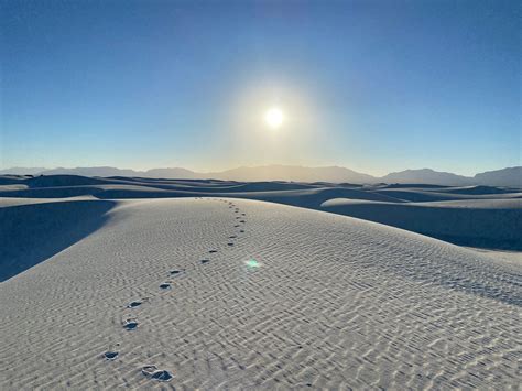 Quantum Shadows Medium