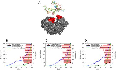 Kinetic Pathways By Full Atomic Model A The Initial Structures For Download Scientific
