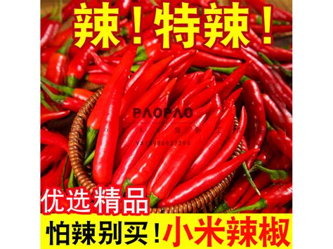全网爆款新鲜小米椒主图片paopao摄影工作室 站酷zcool
