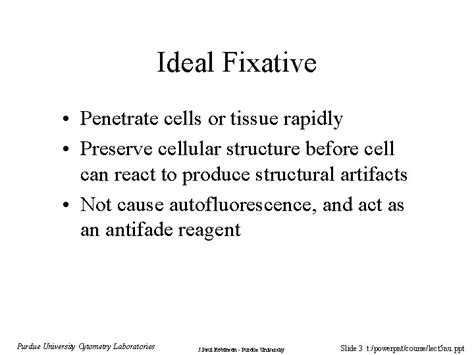 Lecture 5 Preparation Techniques For Confocal Microscopy Bms