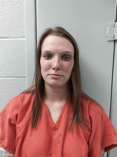 Hembree Sarah 02 23 2025 Logan County Mugshots Zone