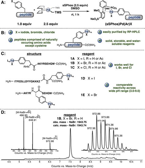 Synthesis And Characterization Of Palladiumpeptide Oxidative Addition
