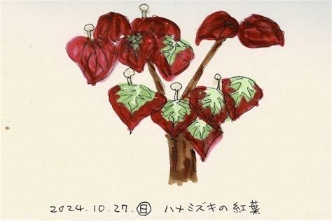 ハナミズキの紅葉｜鳥谷文子