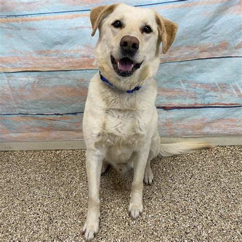 Cheyenne Sam Facebook