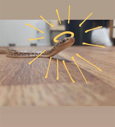 This Doesnt Really Count Does It Scrolller