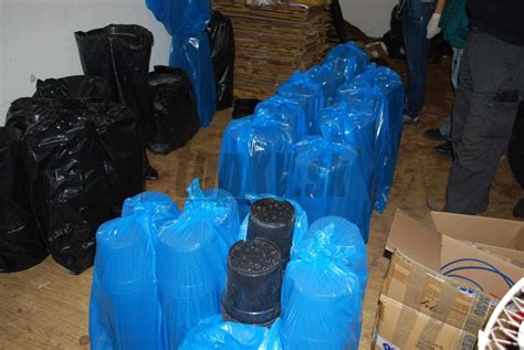 Tomu sa povie úlovok Polícia zhabala konope na 6000 dávok galéria