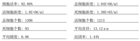百奥医药单细胞测序之组织细胞制备系列试剂盒全新发布 天津百奥医药科技有限公司